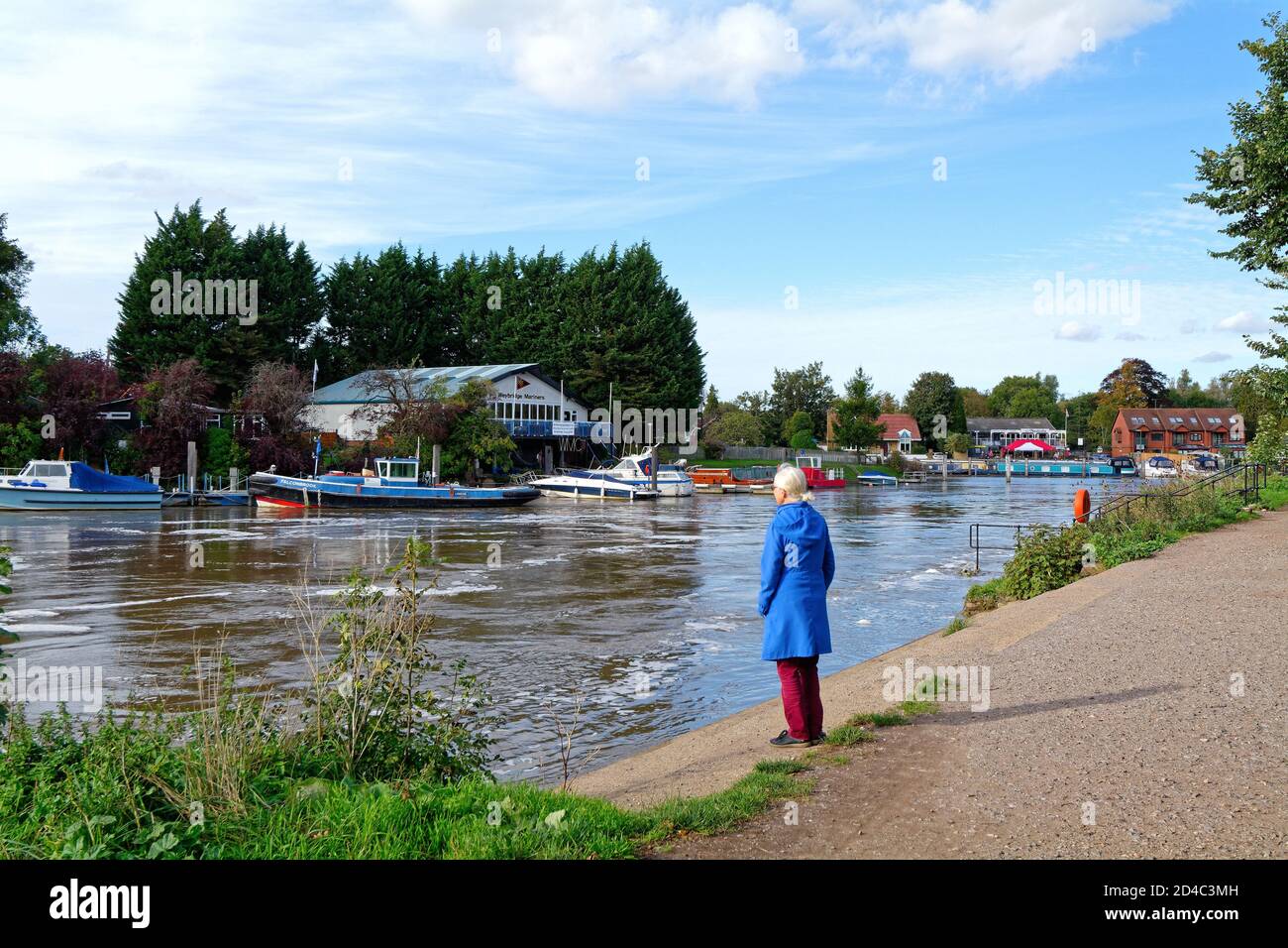 The River Thames with Shepperton riverside as viewed from Weybridge ...