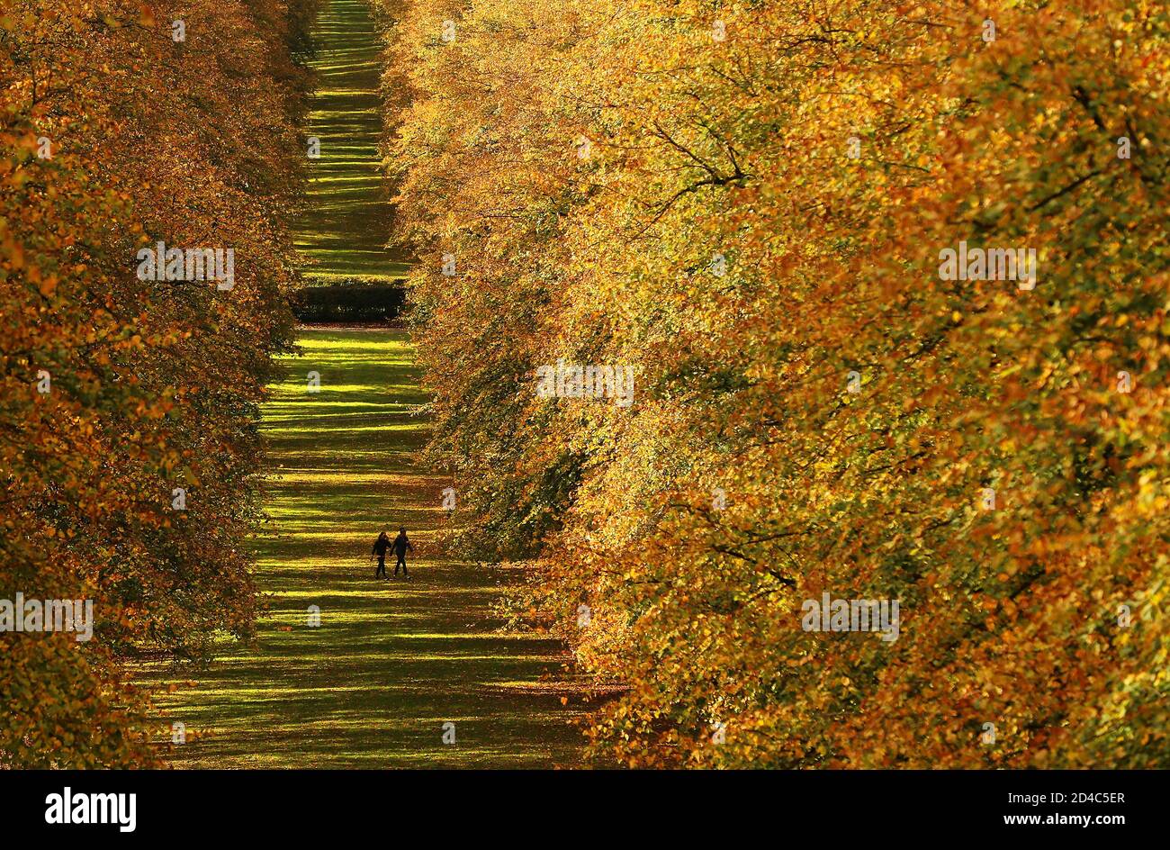 People walk among the autumn leaves on the grounds of Stormont Estate ...