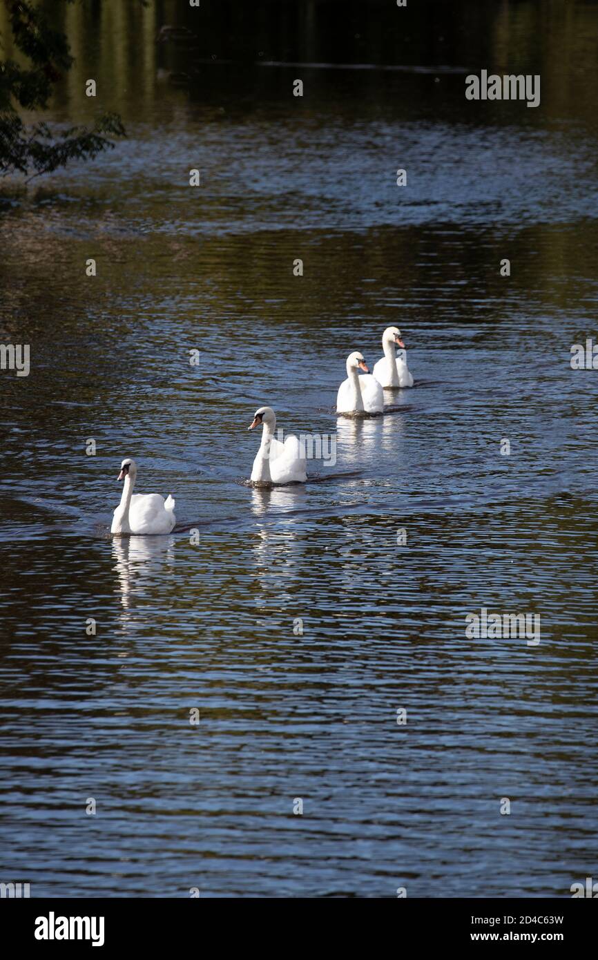 Line astern hi-res stock photography and images - Alamy