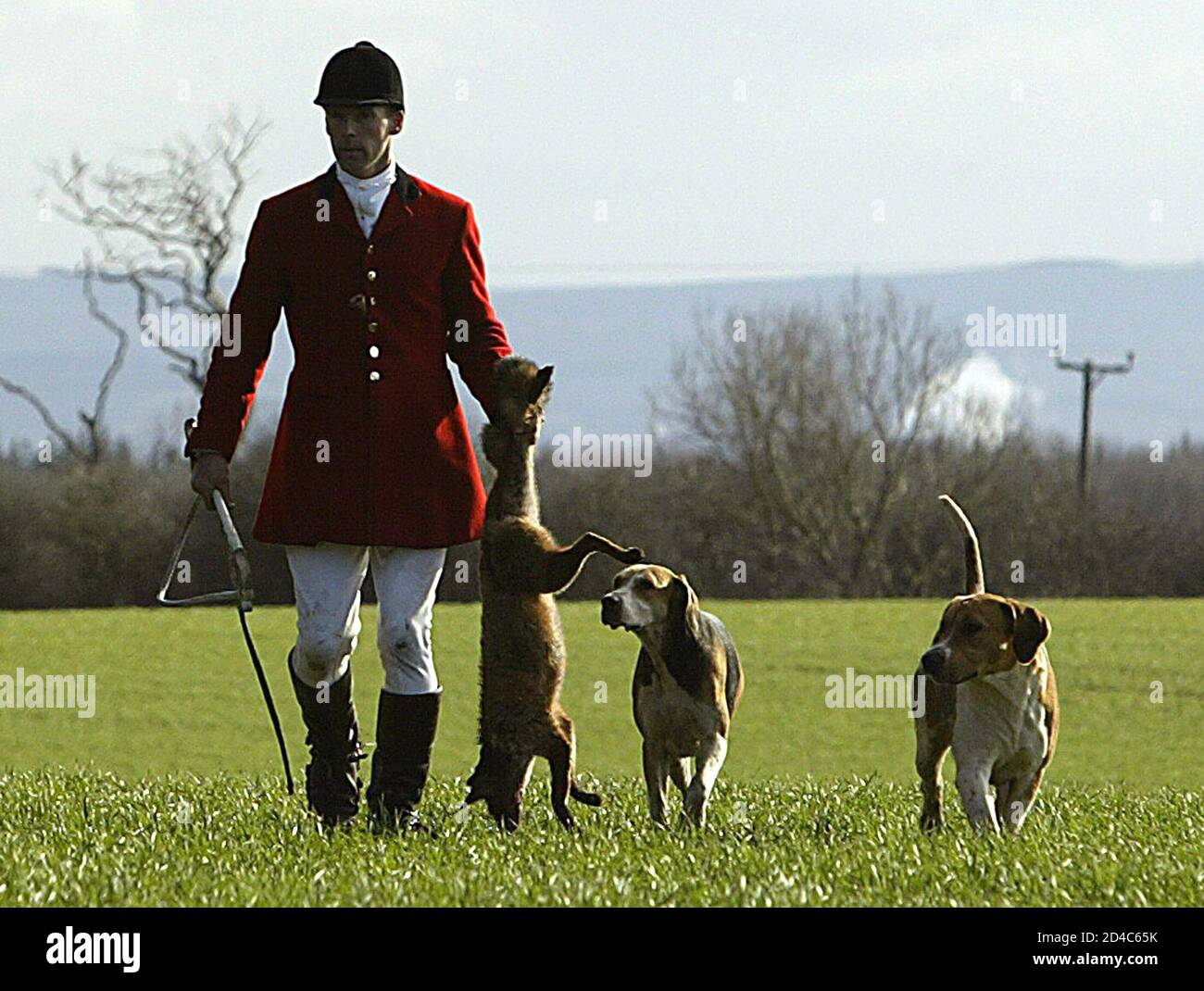 Is Hunting With Dogs Legal