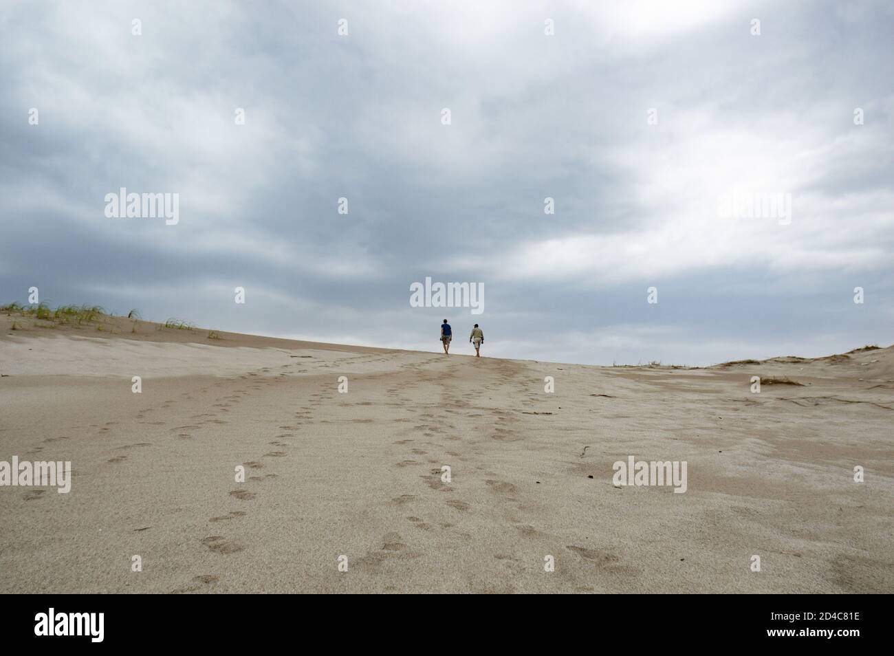 Men walking on sandy beach Stock Photo - Alamy