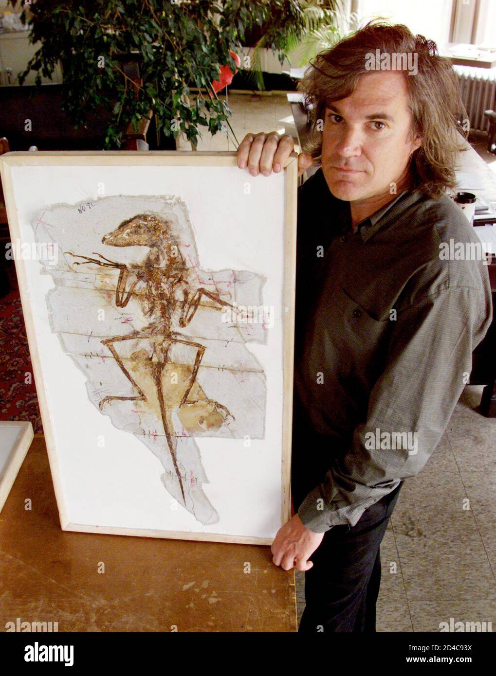 Body covering of feathers hi-res stock photography and images - Alamy