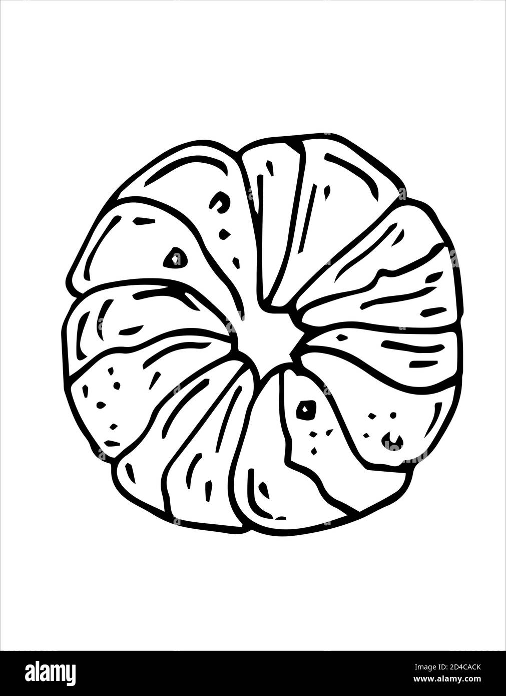 food vector illustration,hand drawn, german traditional bakery, october ...