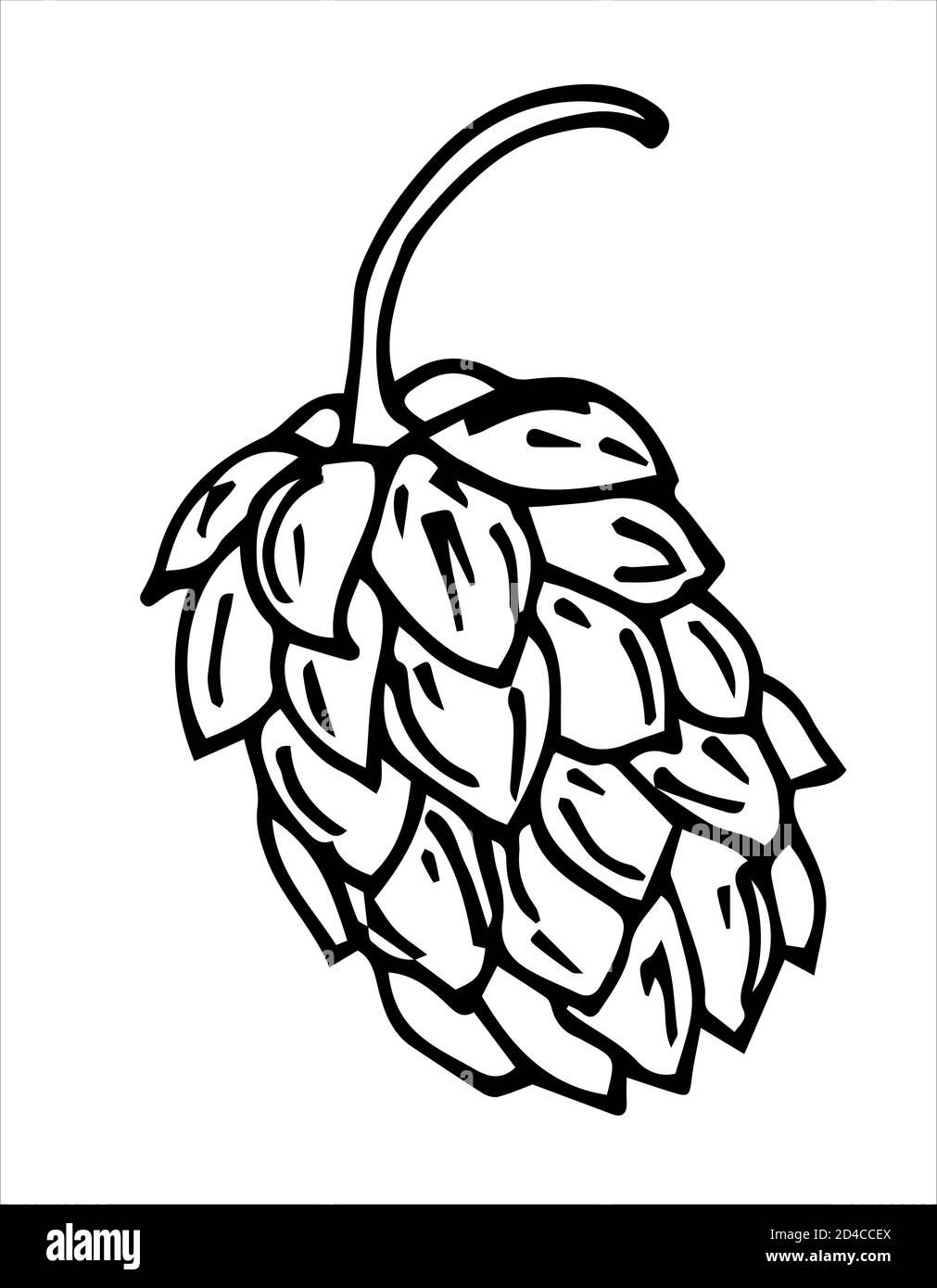 Beer hop outline style. Design element for poster, card, banner. Vector ...