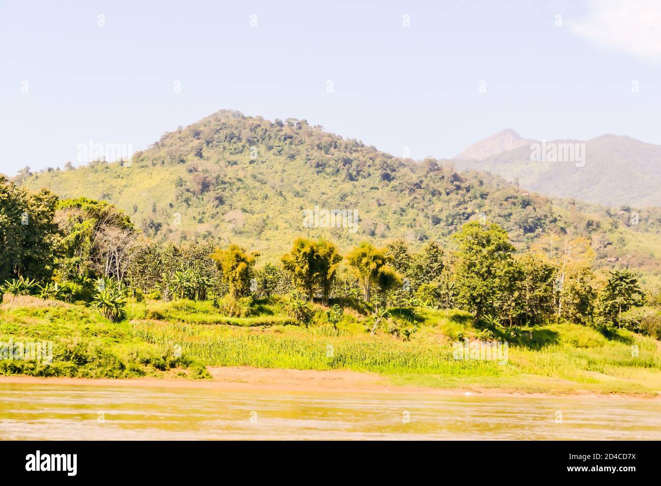 autumn landscape with trees and blue sky, digital photo picture as a ...