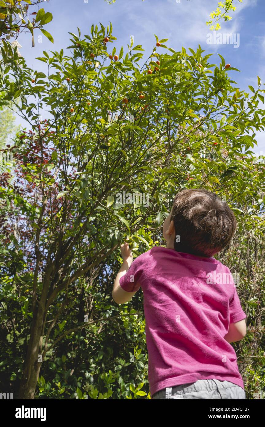 Healthy kid fruit hi-res stock photography and images - Alamy