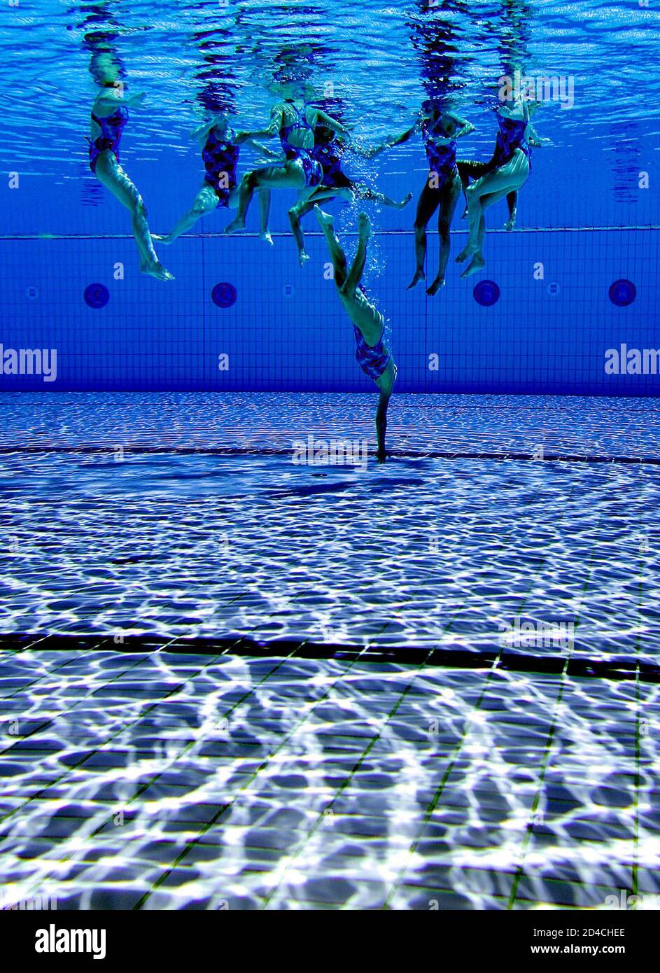 Canadian synchronized swimming team hi-res stock photography and images ...