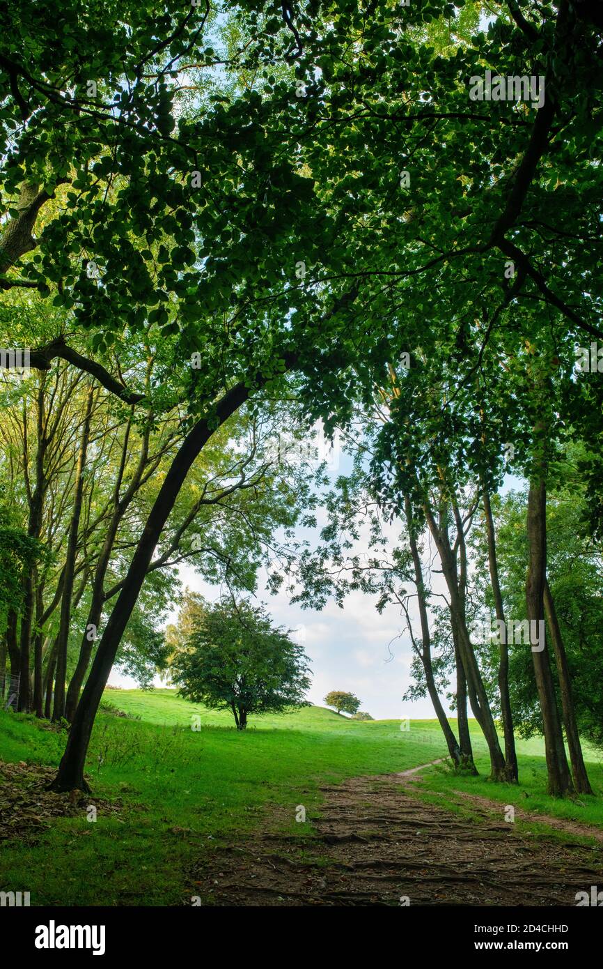 The Cotswold way footpath near broadway tower on an early september ...