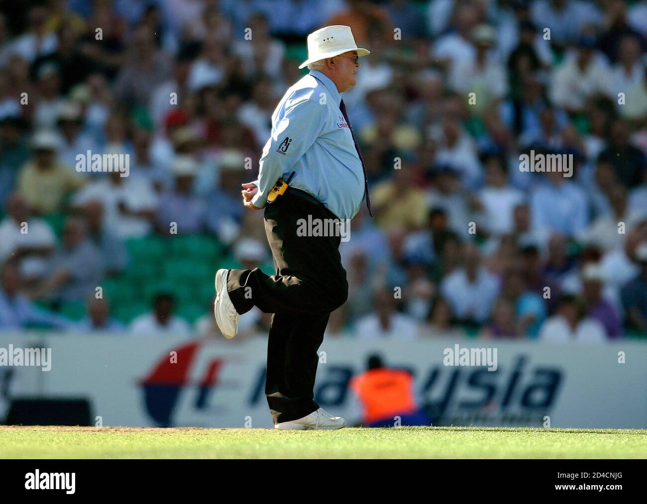 David shepherd cricket umpire hi-res stock photography and images - Alamy