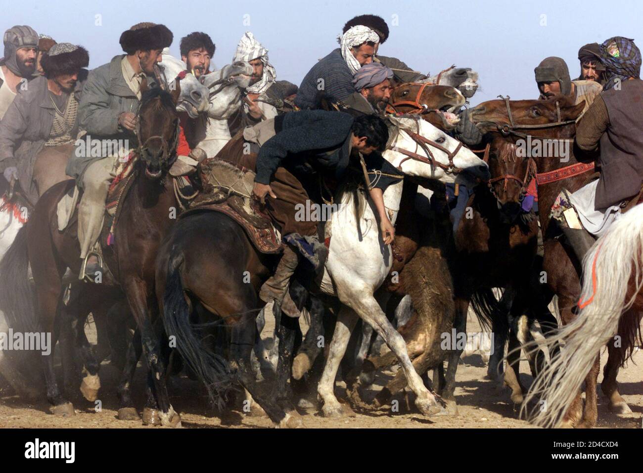 War horses afghanistan hi-res stock photography and images - Alamy