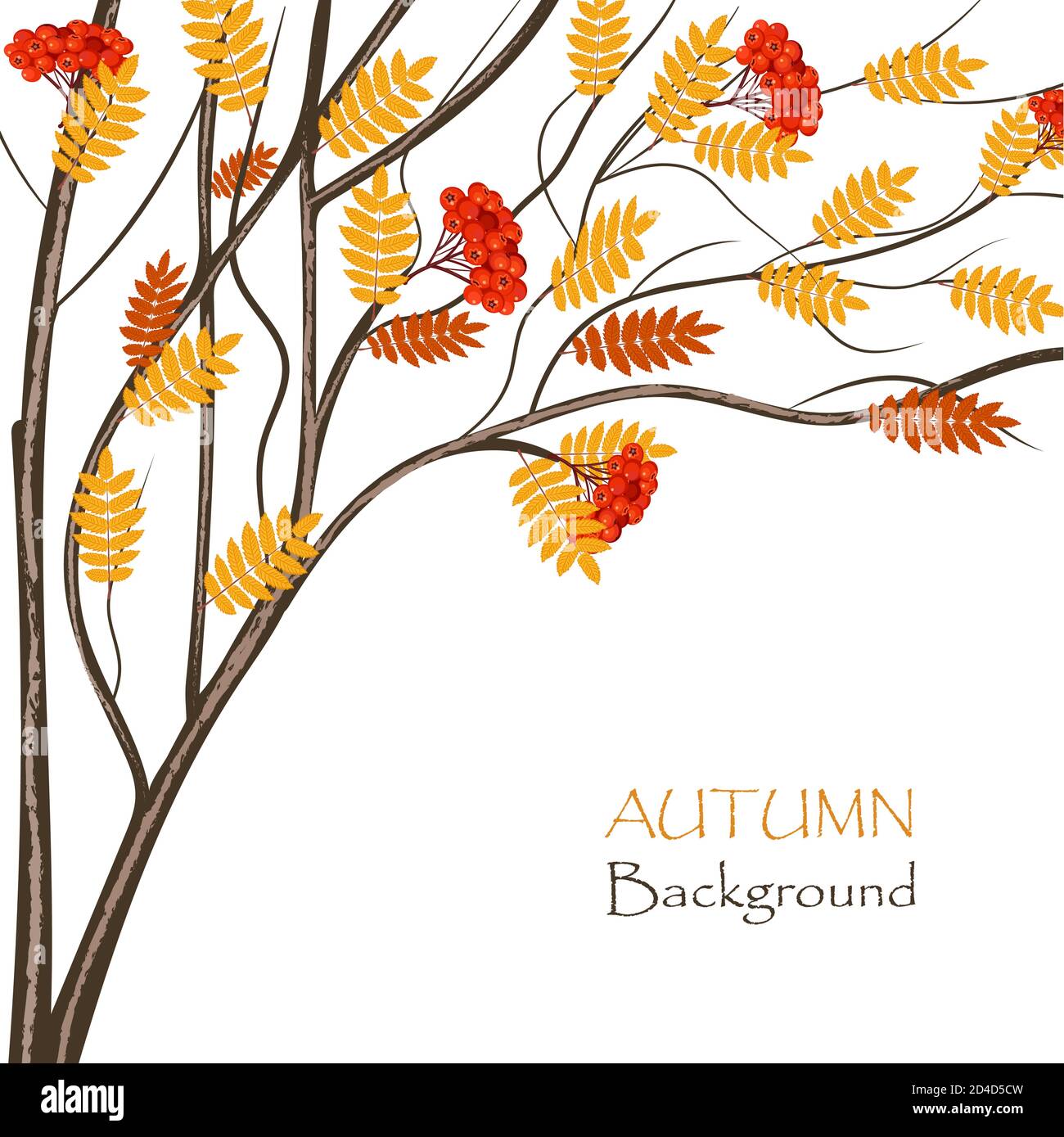 Red rowan tree in Stock Vector Images - Alamy