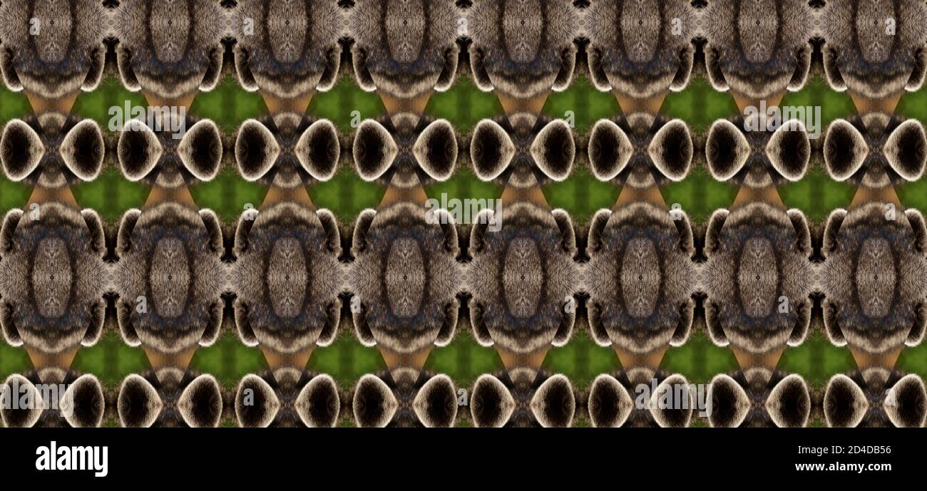 Beautiful abstract background design Stock Photo - Alamy