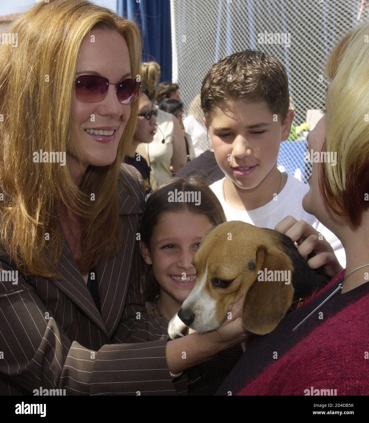 Cats And Dogs 2001 High Resolution Stock Photography and Images - Alamy