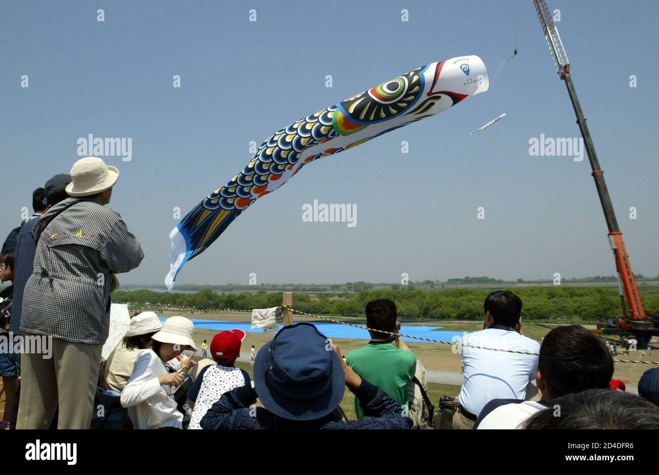 Giant carp streamer hi-res stock photography and images - Alamy