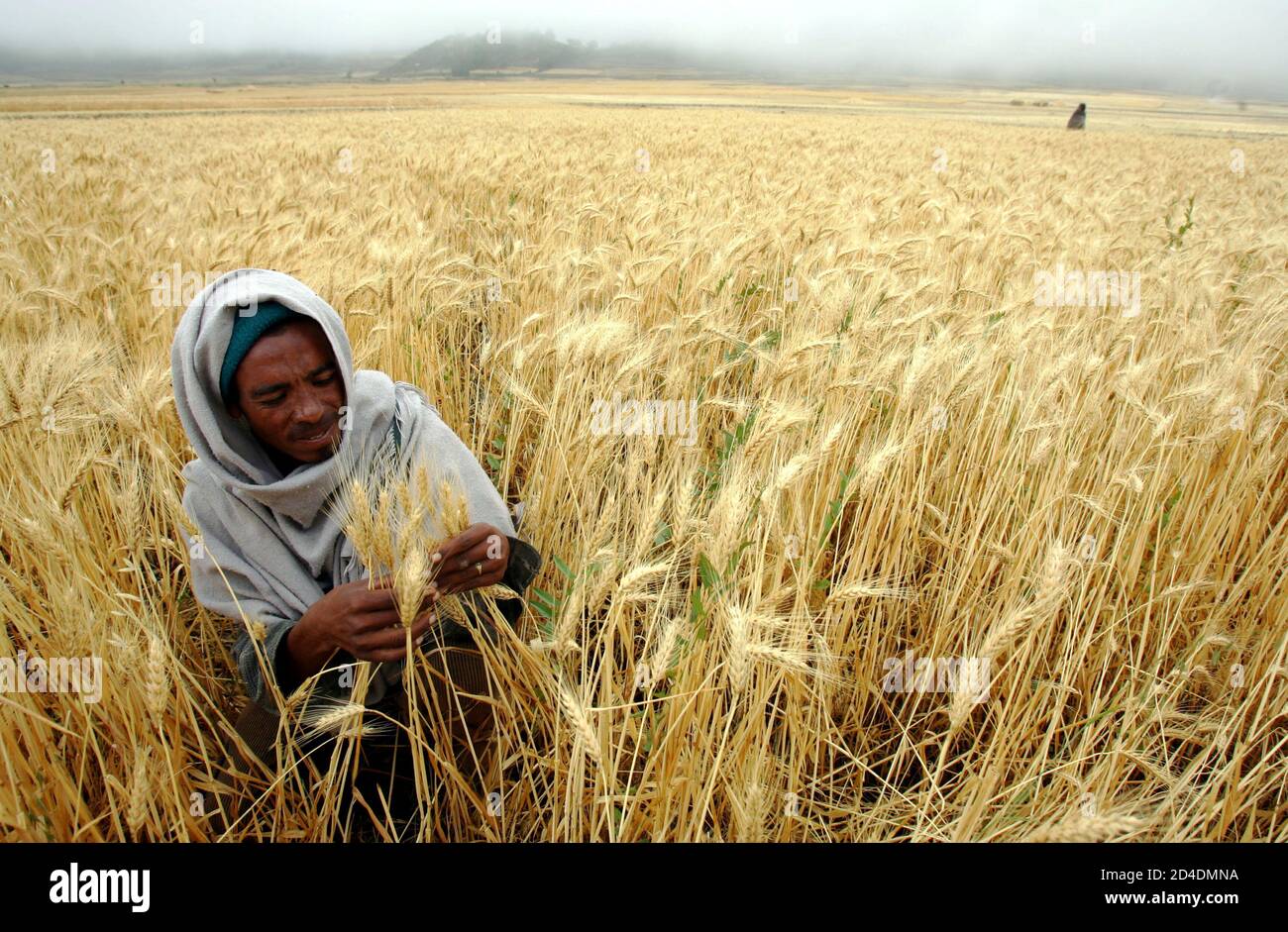 Tigray population hi-res stock photography and images - Alamy