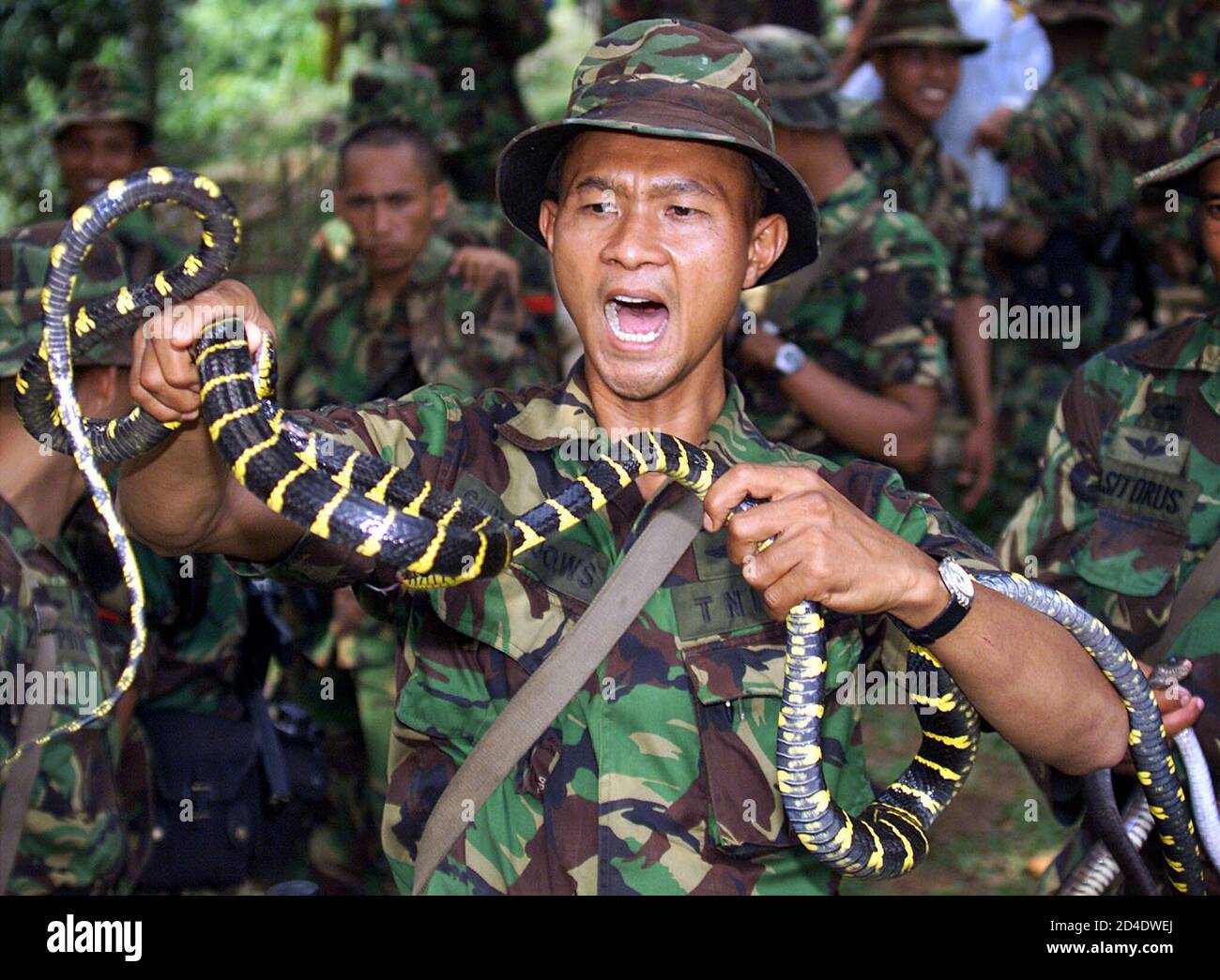 Six snakes hi-res stock photography and images - Alamy
