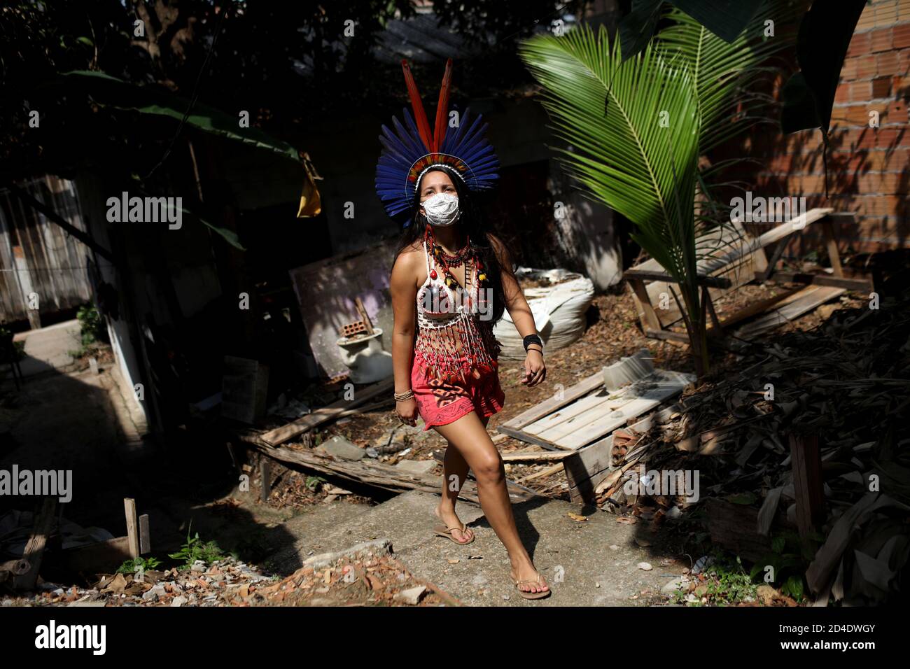 Satere mawe hi-res stock photography and images - Alamy