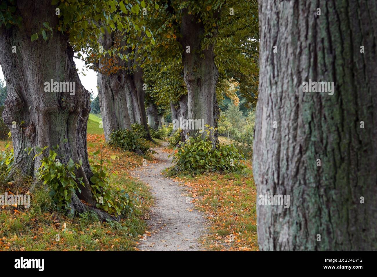 Winding Footpath High Resolution Stock Photography and Images - Alamy