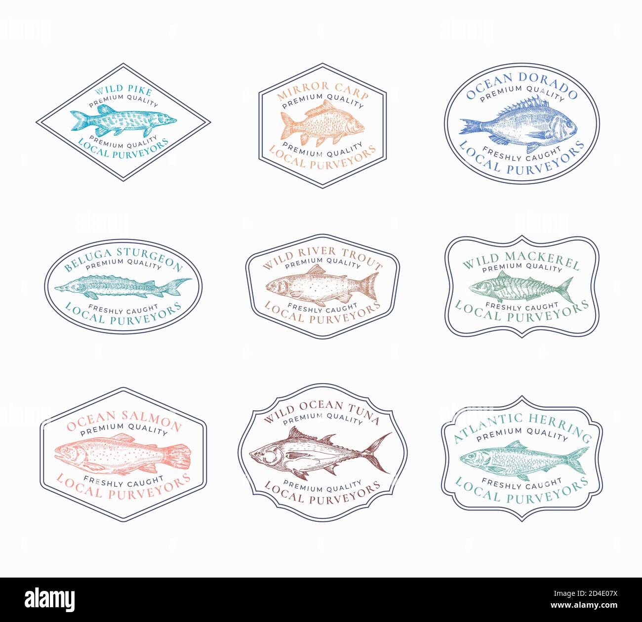 Vintage Frame Badges or Logo Templates Set. Tuna, Herring, Mackerel ...