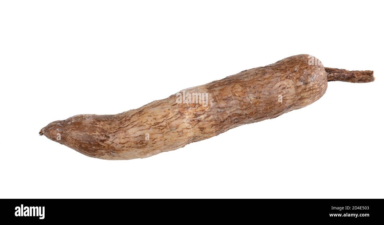 Tuber of unpeeled cassava on white background Stock Photo - Alamy