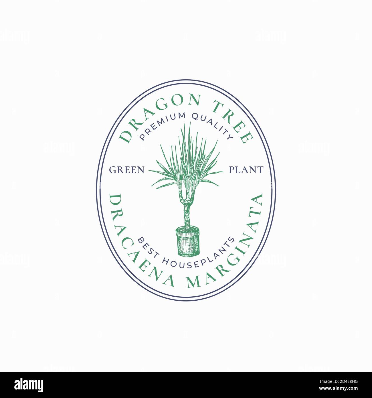 Dragon Tree Plant Badge or Logo Template. Hand Drawn Potted Dracaena ...