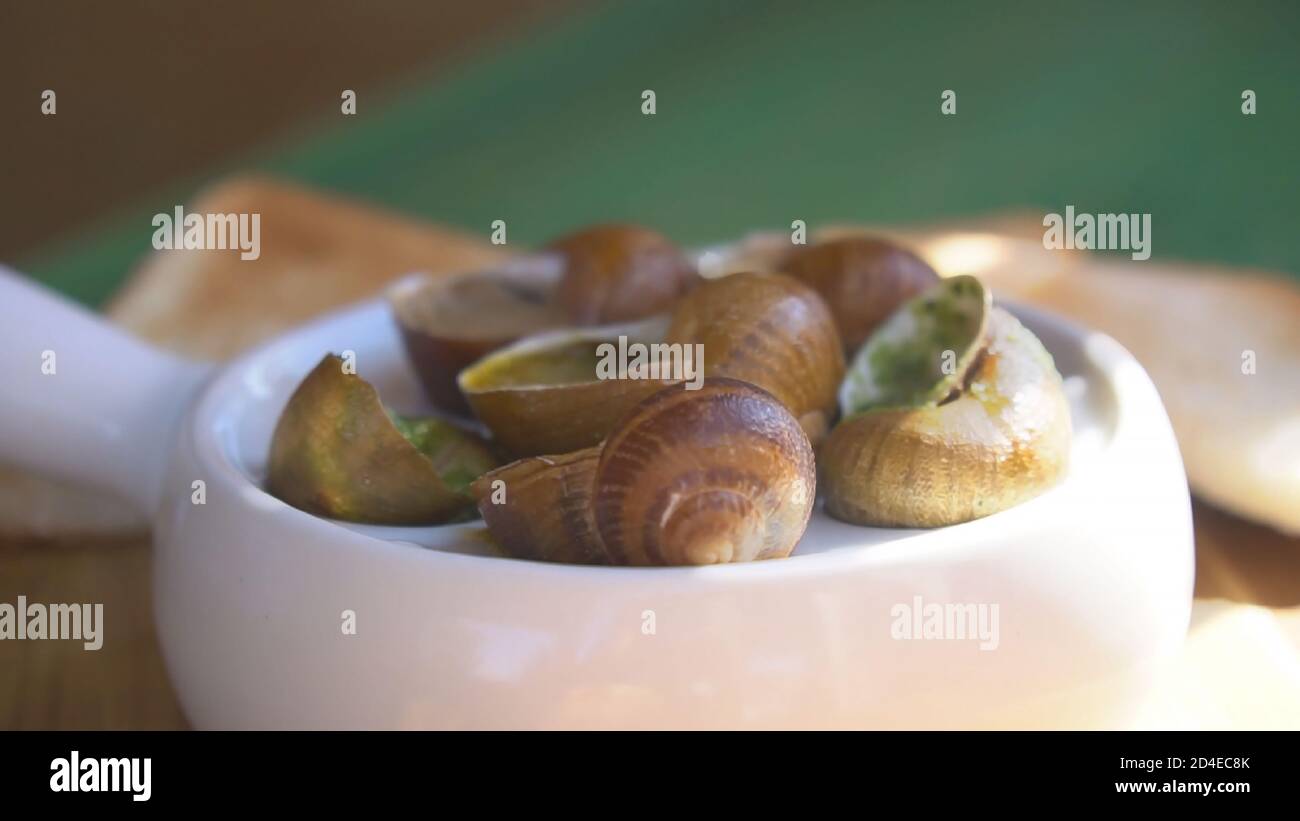 Active escargots on wooden shelves in agriculture snails farm. Organic ...