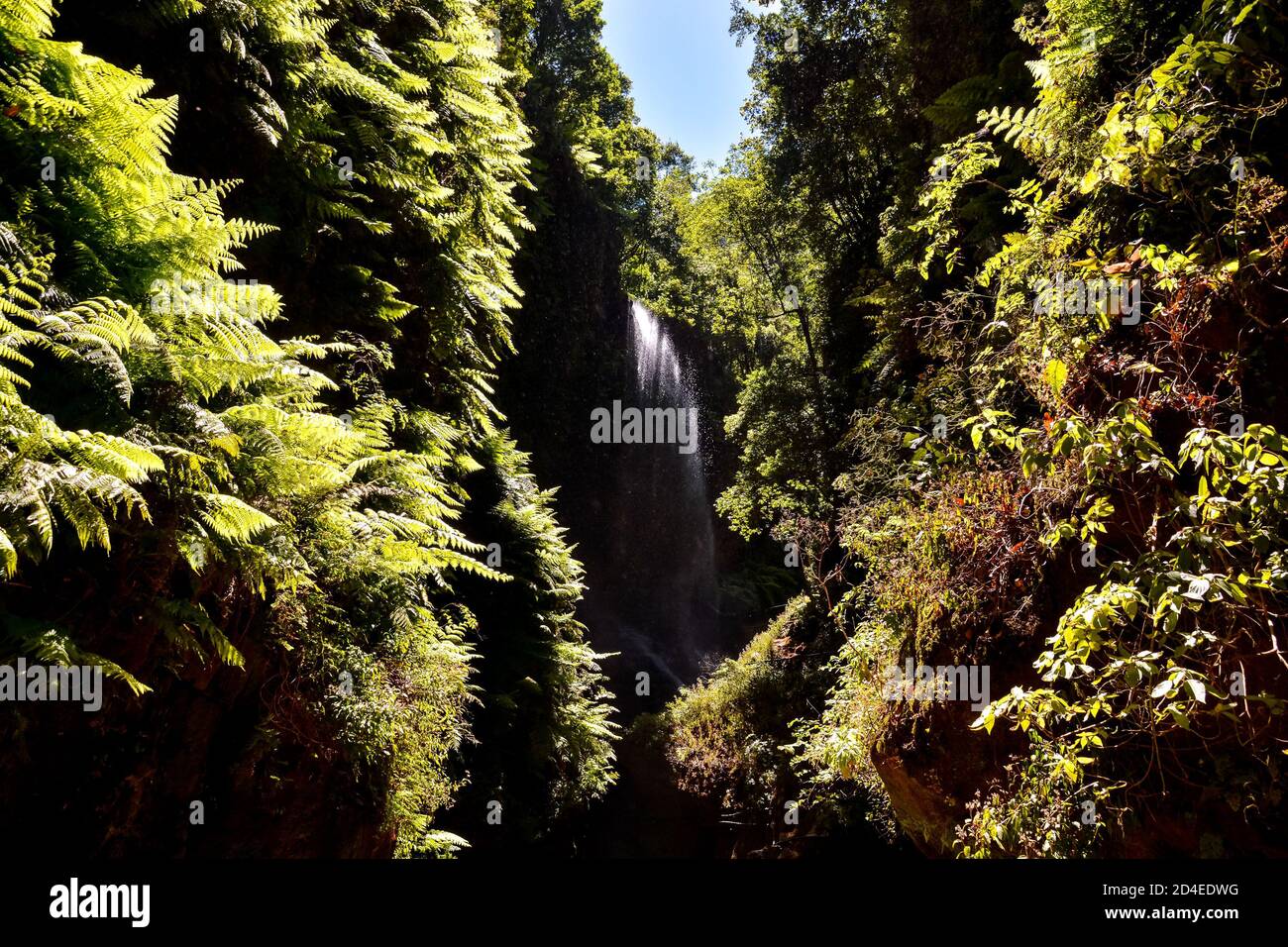 Water Splash Waterfall Stock Photo - Alamy