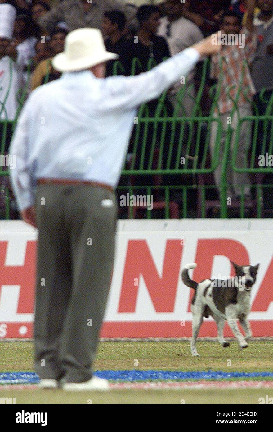 David shepherd cricket umpire hi-res stock photography and images - Alamy