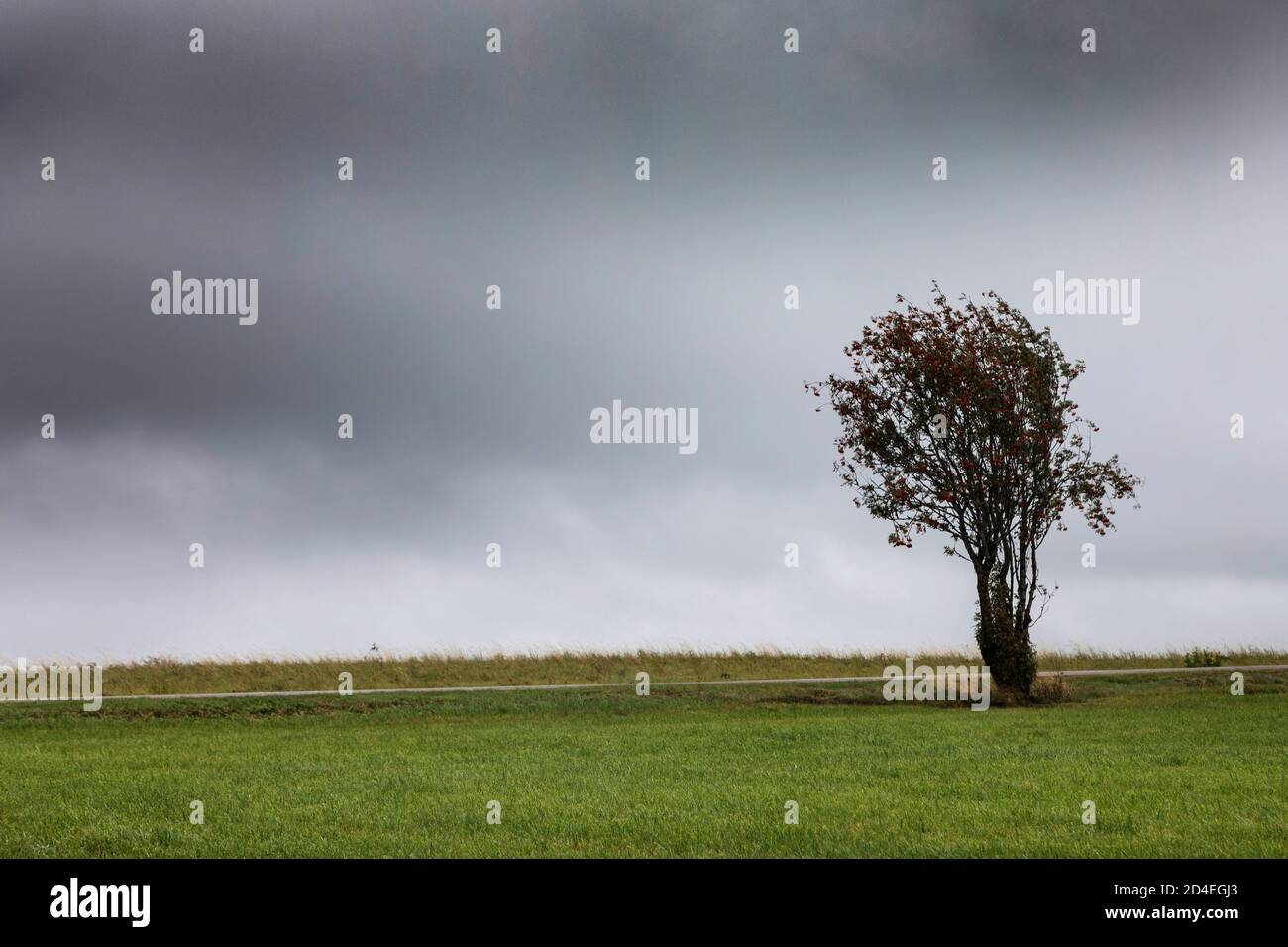 Heavy rainy weather with storm Stock Photo - Alamy