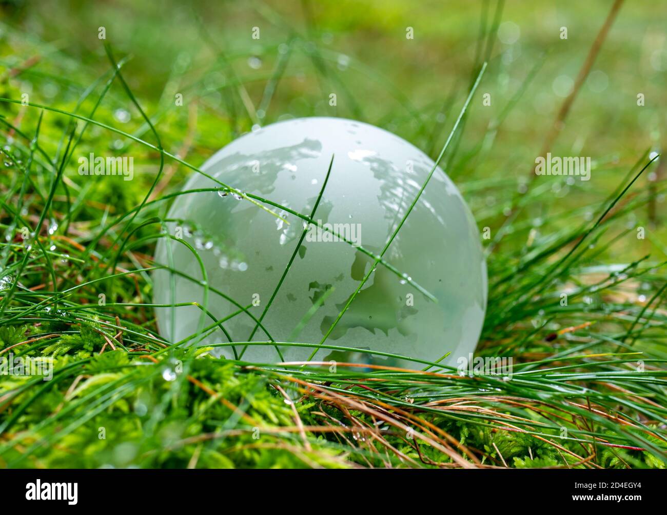 Ecosystem glass ball in the grass Stock Photo - Alamy