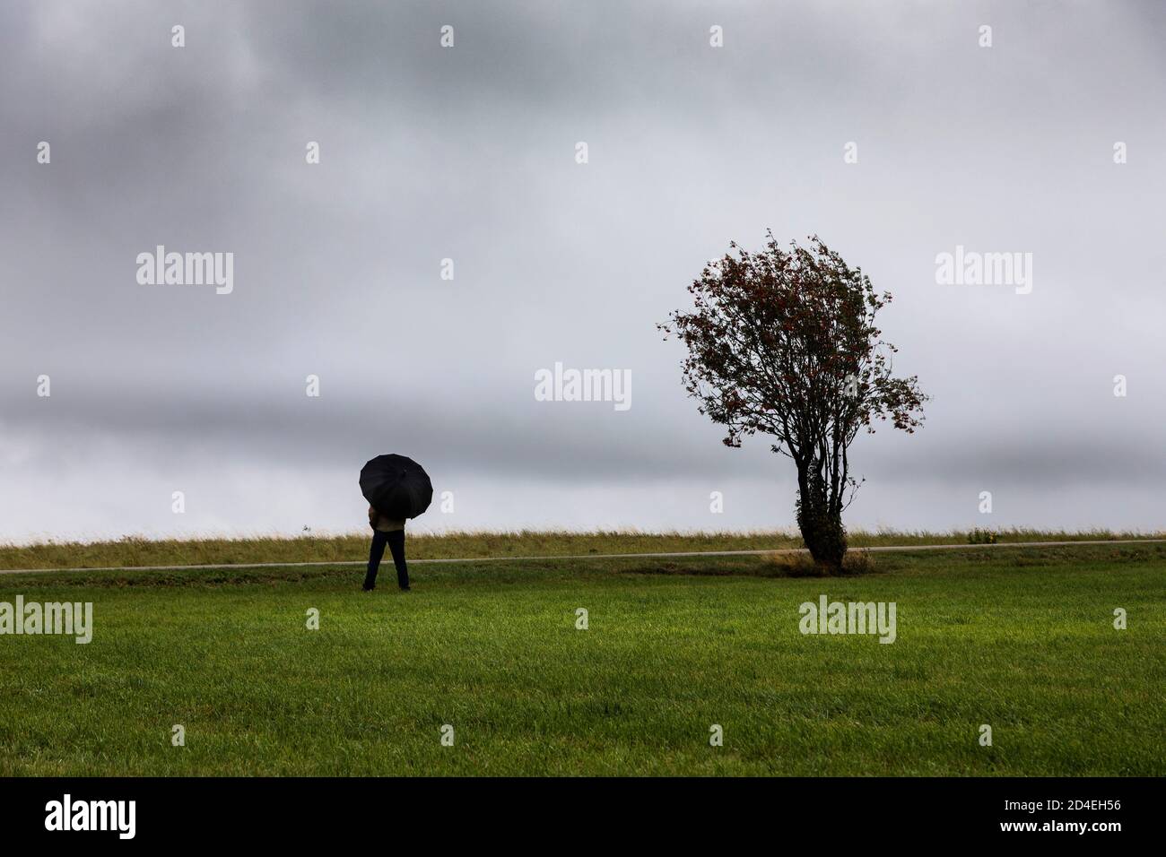 Heavy rainy weather with storm Stock Photo - Alamy