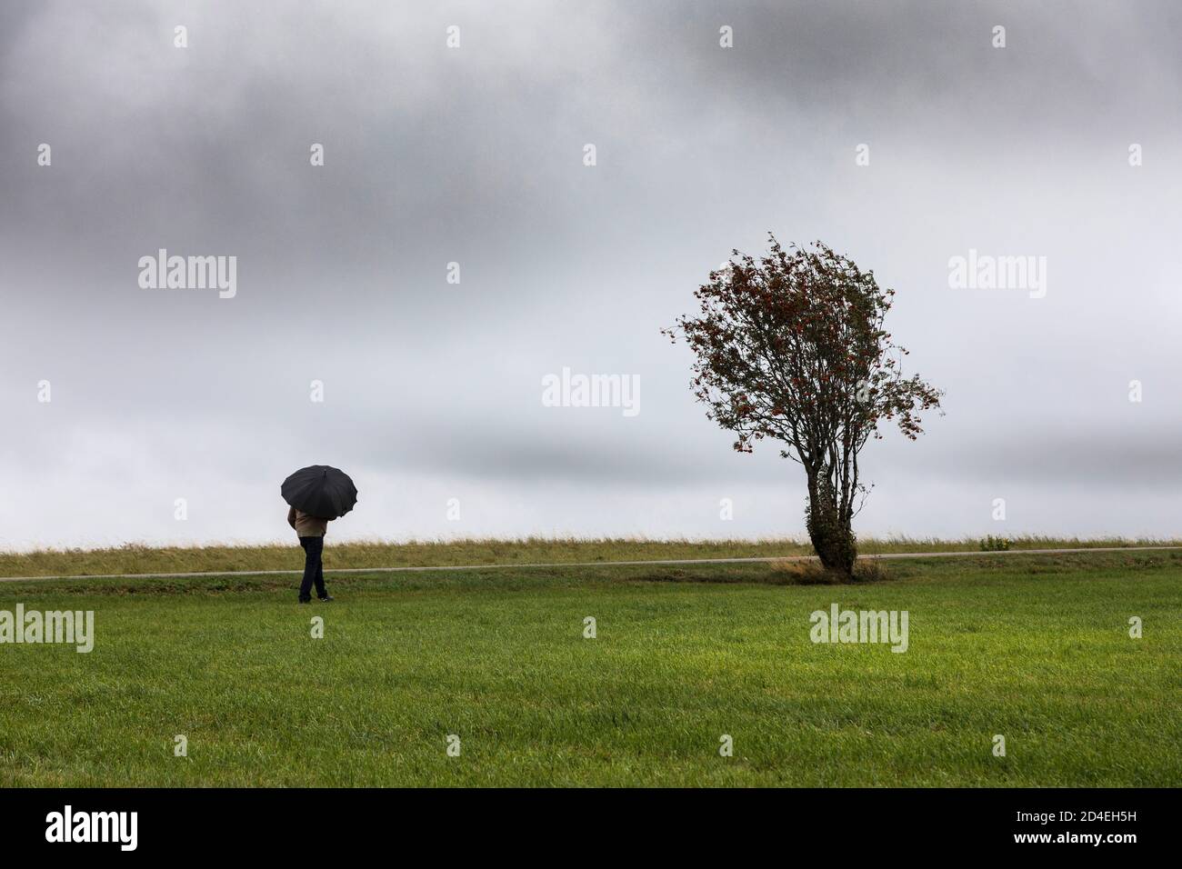 Heavy rainy weather with storm Stock Photo - Alamy