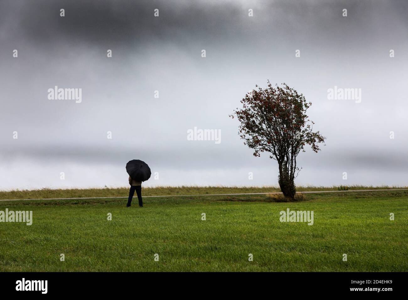 Heavy rainy weather with storm Stock Photo - Alamy