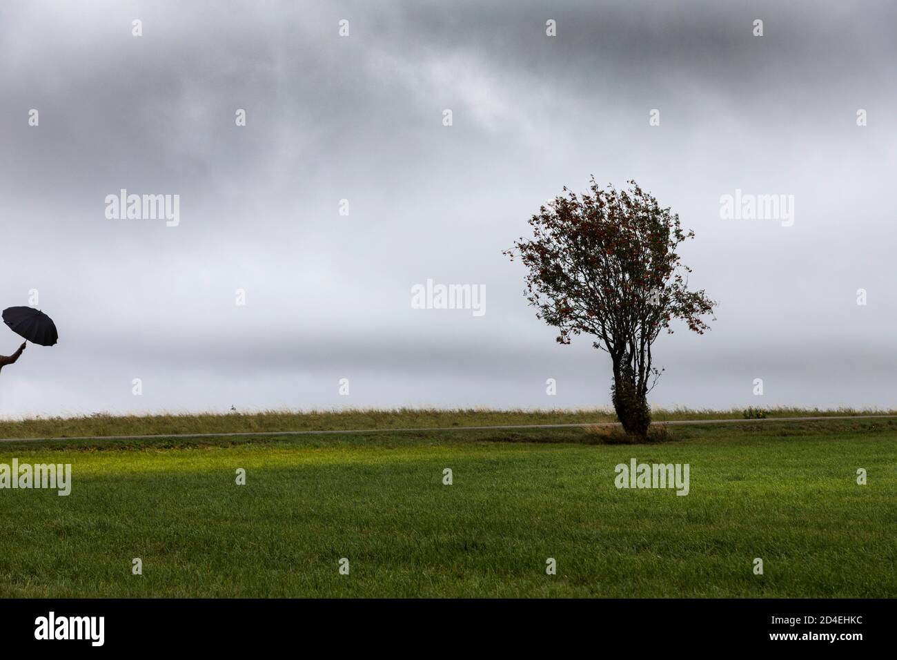 Heavy rainy weather with storm Stock Photo - Alamy