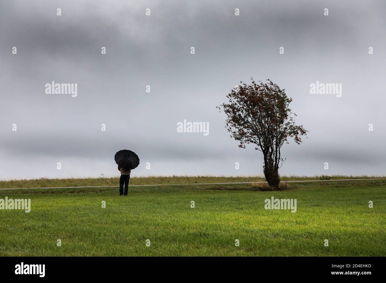 Heavy rainy weather with storm Stock Photo - Alamy