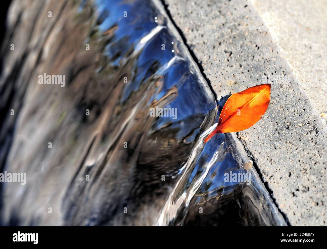 Leaf and Waterfall Stock Photo - Alamy