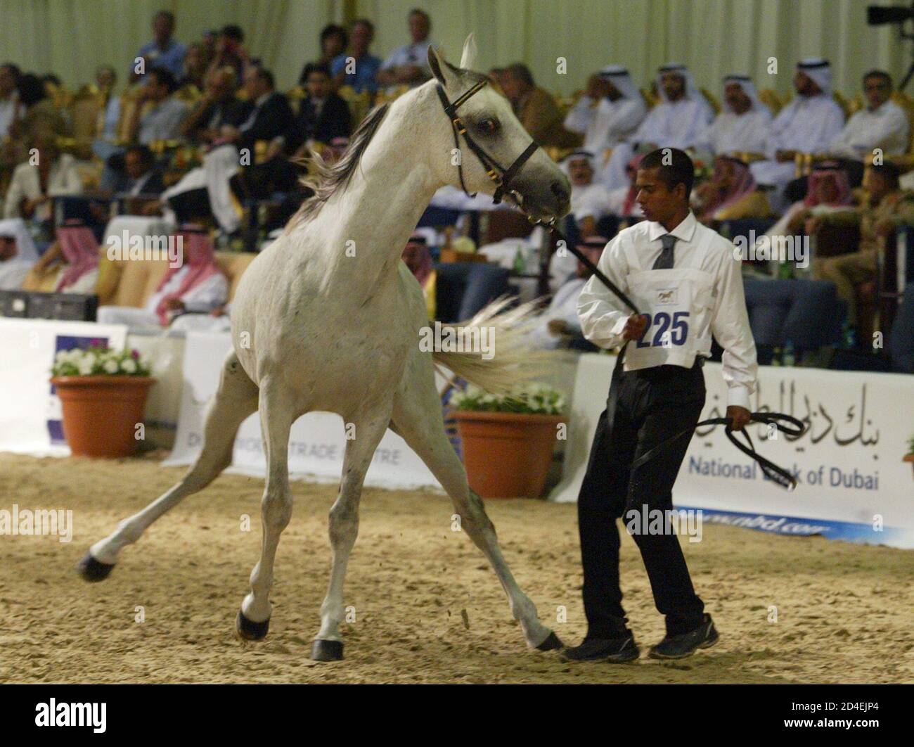 Sheikh hamdan in dubai hi-res stock photography and images - Alamy