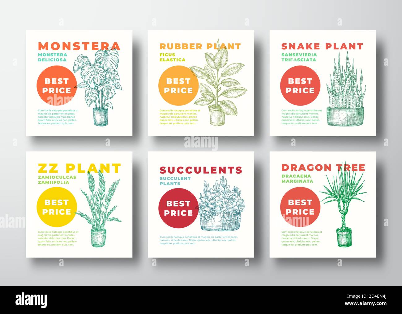 Houseplants Vector Signs or Label Templates Collection. Hand Drawn ...