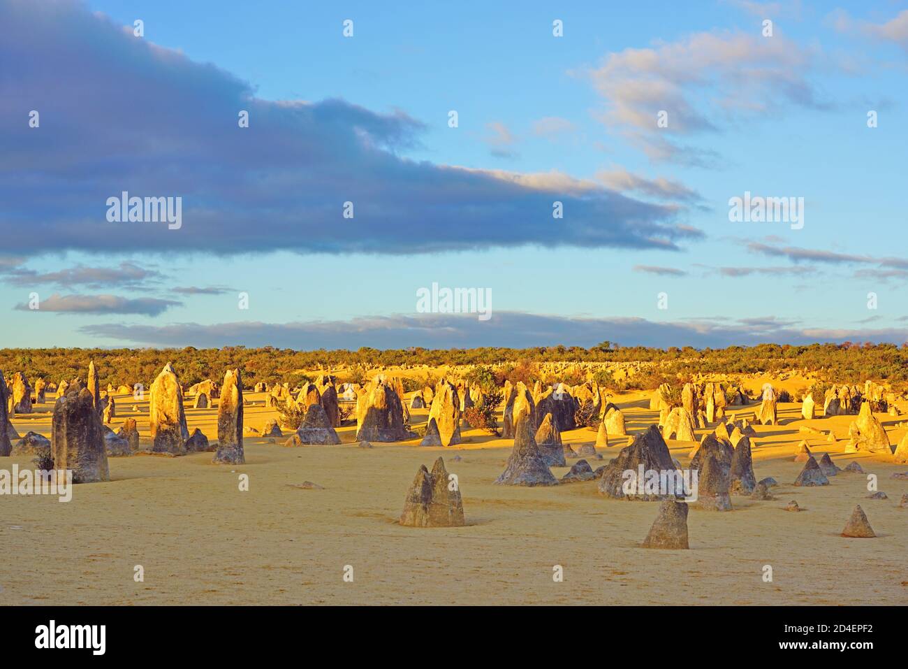 View of limestone rock formations in the Pinnacles Desert in Nambung ...