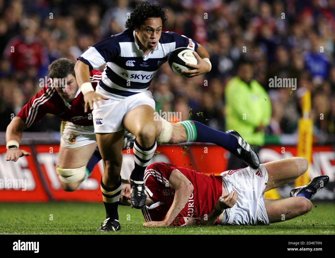 Lions Simon Shaw High Resolution Stock Photography and Images - Alamy