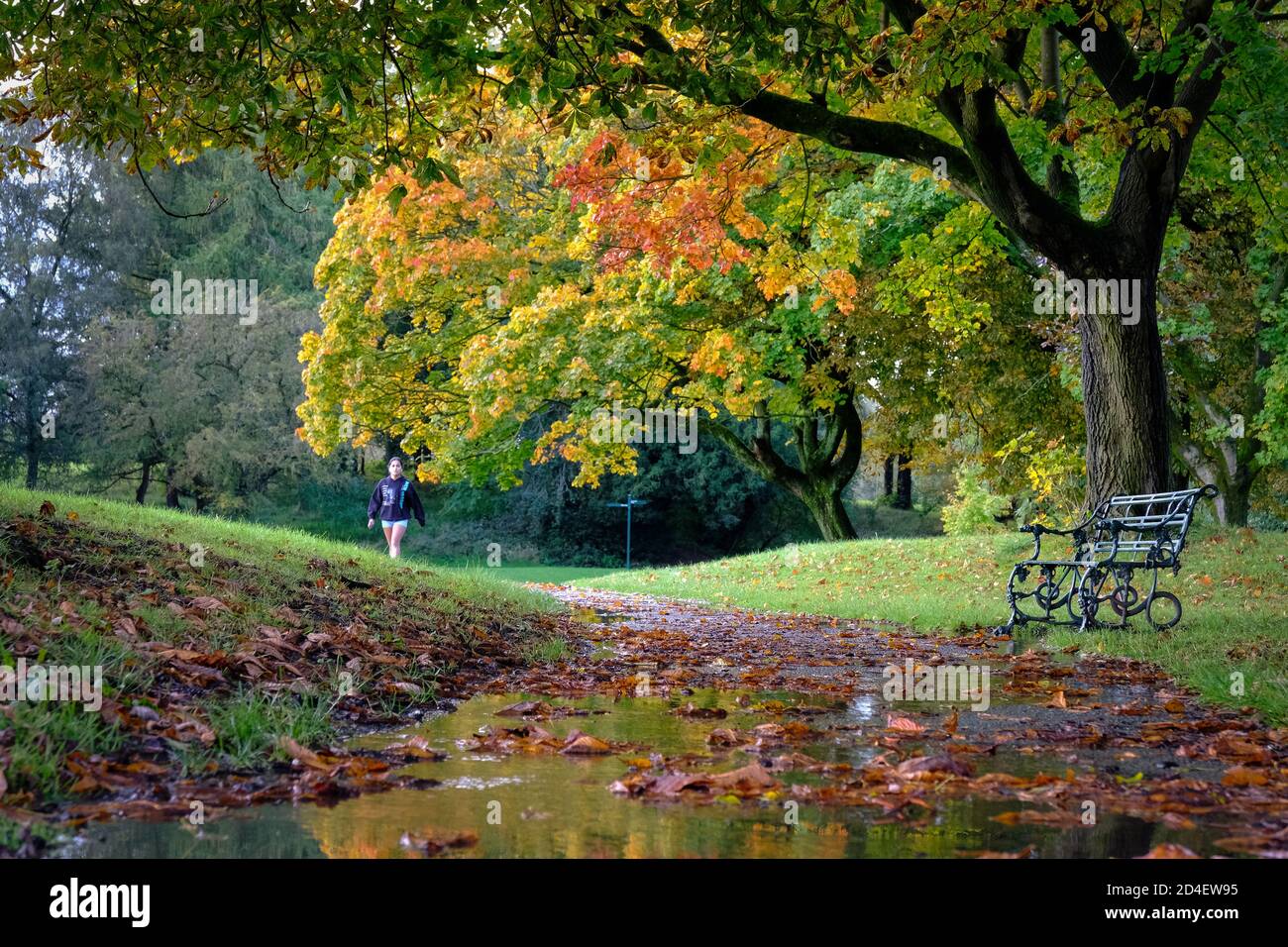 Walking along a park hi-res stock photography and images - Alamy