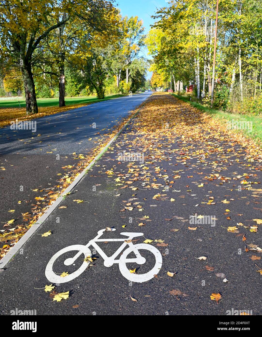 Bicycle Markings High Resolution Stock Photography and Images - Alamy