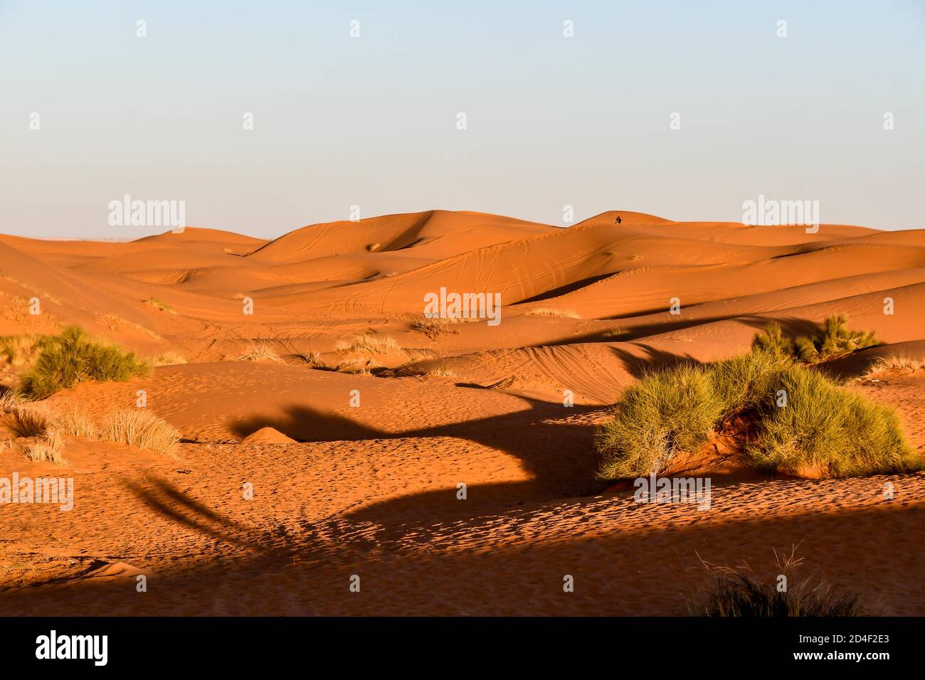 landscape in desert, photo as background Stock Photo - Alamy