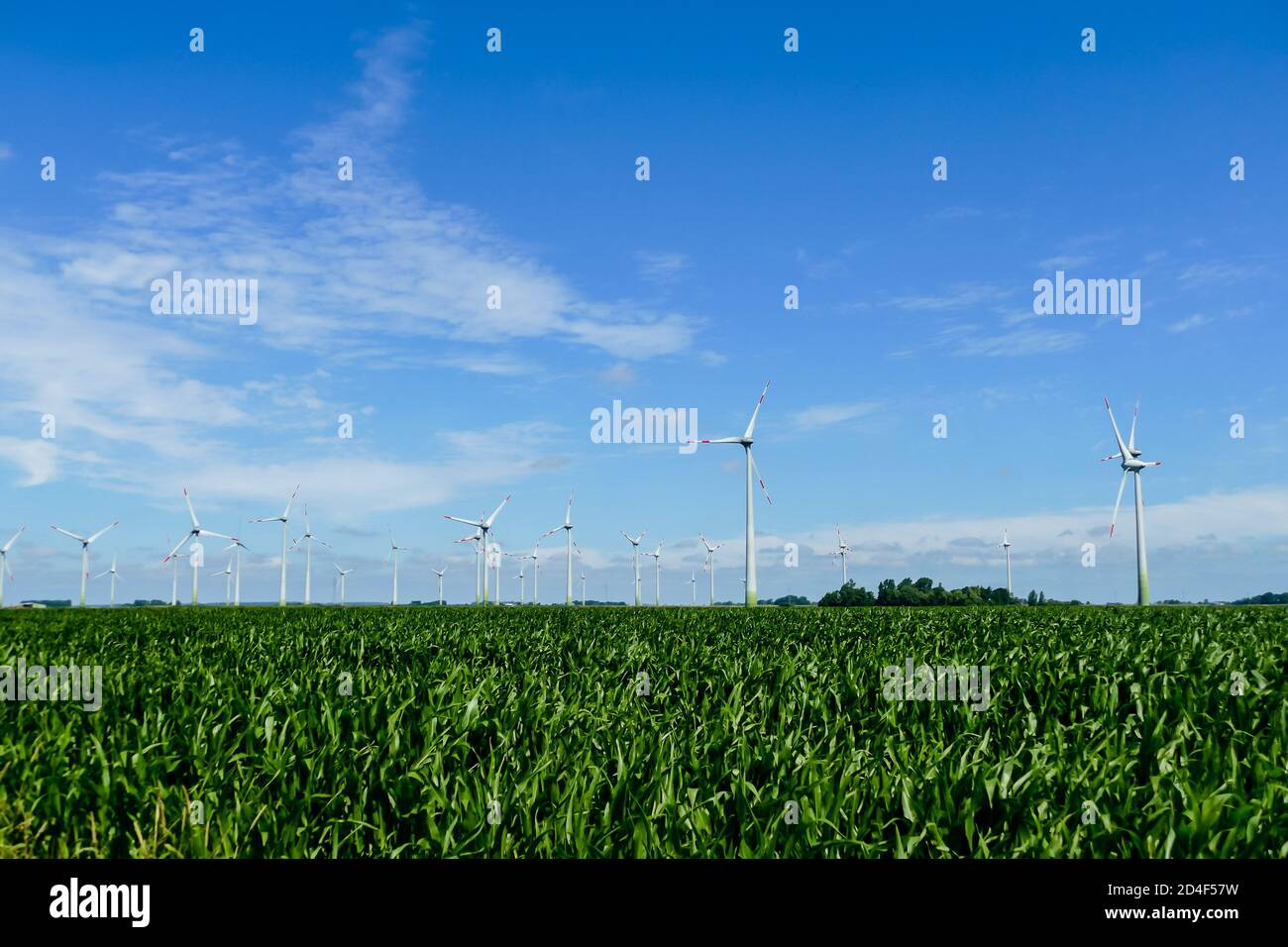 wind turbines in green field, in Sweden Scandinavia North Europe Stock ...