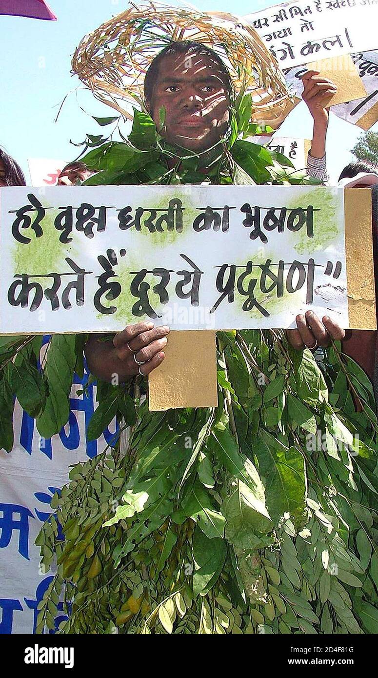 Continuous deforestation hi-res stock photography and images - Alamy