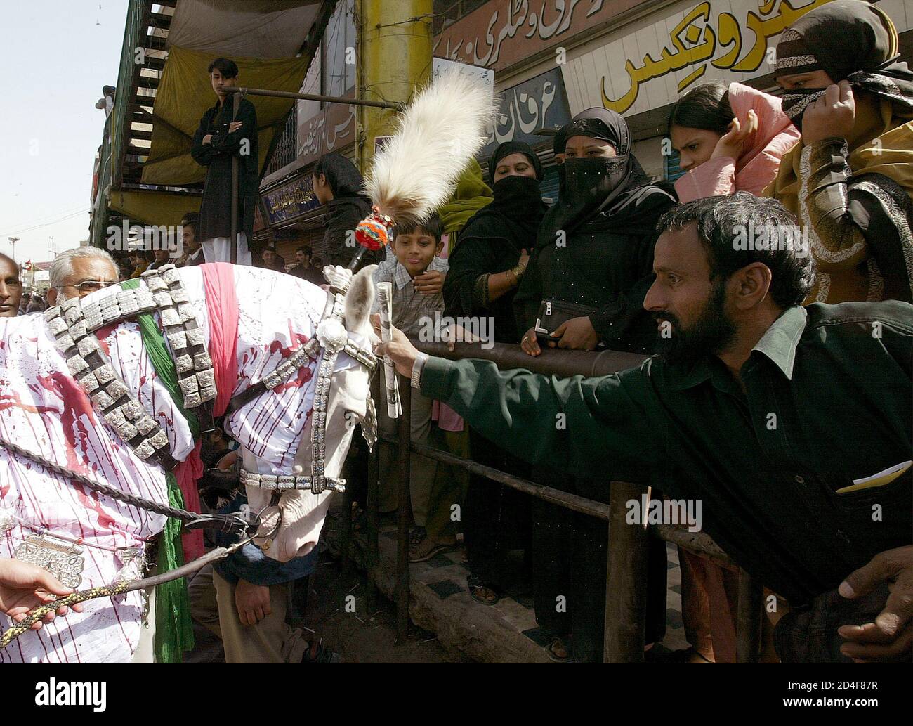 Ashura Procession Horse High Resolution Stock Photography and Images ...
