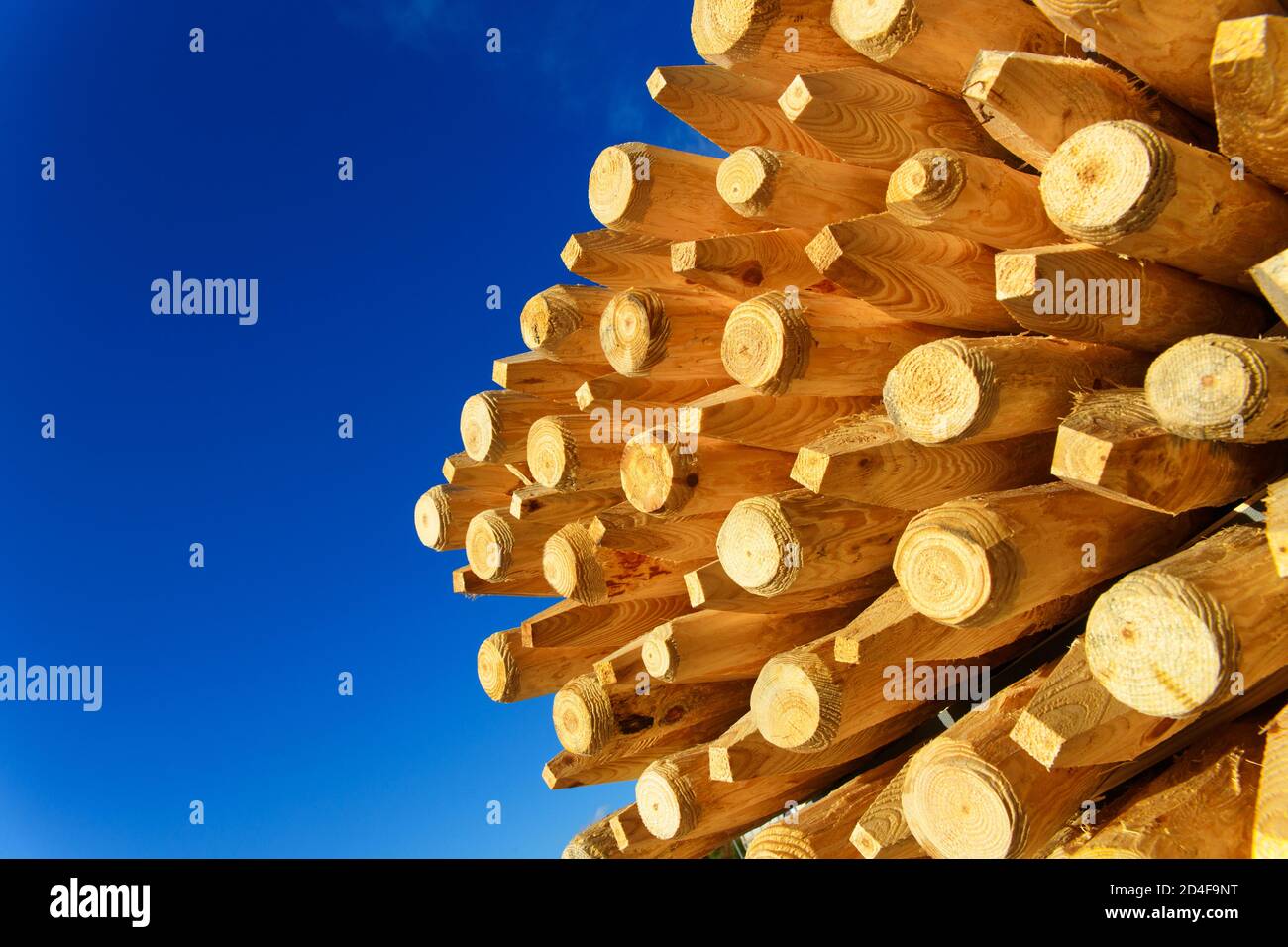 A stack of freshly made wooden posts against a blue sky. You can use a ...