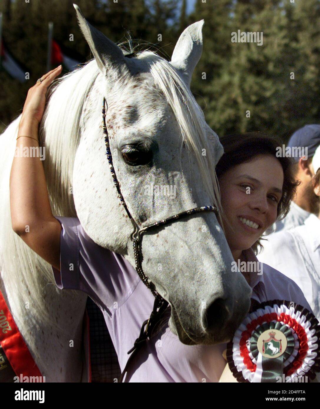 Arabian Horse Stables High Resolution Stock Photography and Images - Alamy