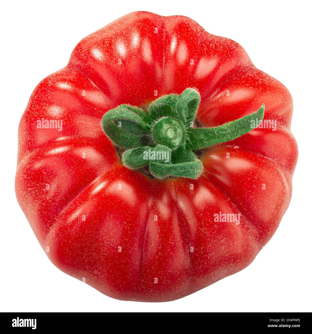 Apricot heirloom tomato, fuzzy, isolated, top view Stock Photo - Alamy
