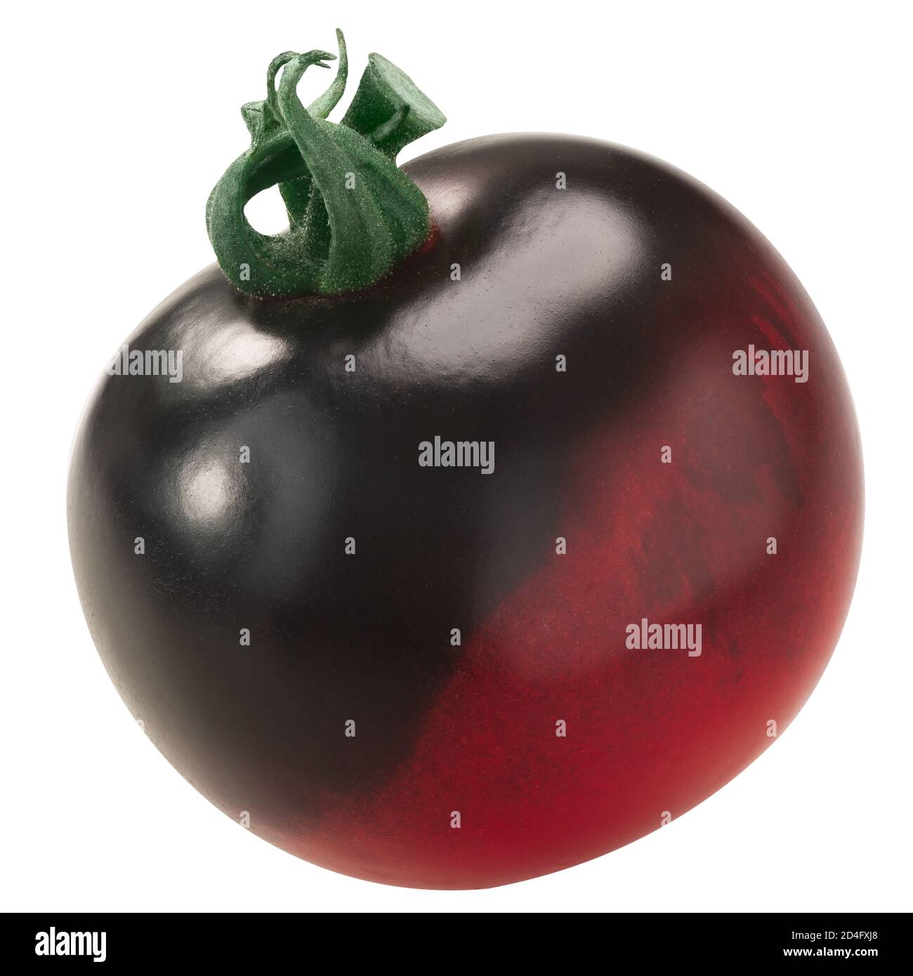 Indigo Rose heirloom tomato, isolated Stock Photo - Alamy